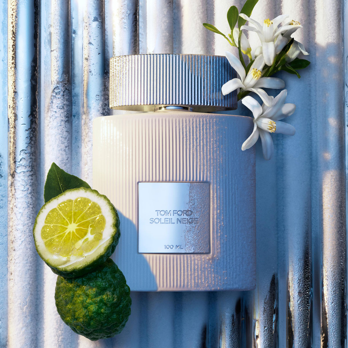 Tom Ford Soleil Neige Eau de Parfum (EdP) | 100 ml | 148594